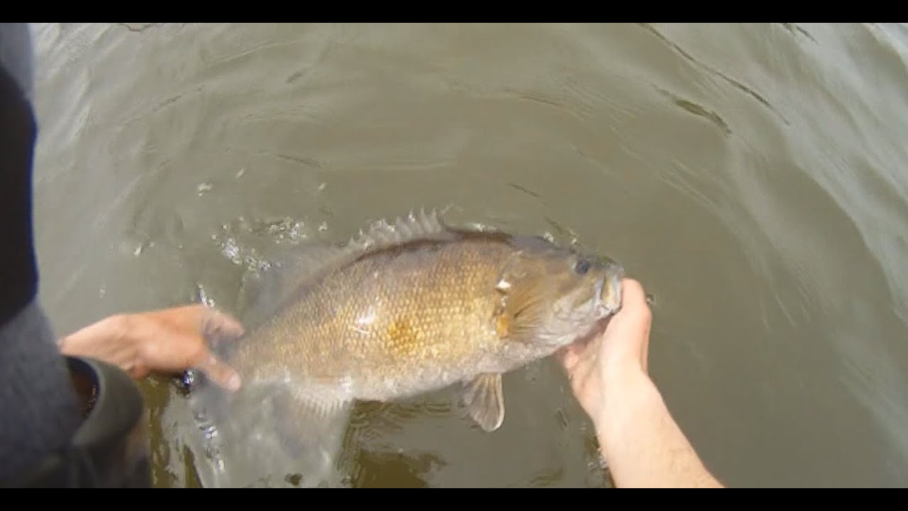Pre-spawn Bass Fishing at Blue Marsh Lake - YouTube