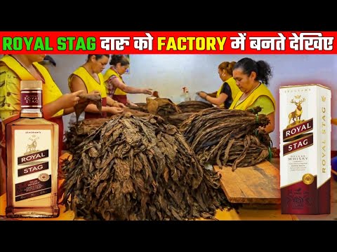 🥃🍻Factory में Royal Stag दारू कैसे बनती है | Daru Kaise Banti Hai | How it's made Whiskey