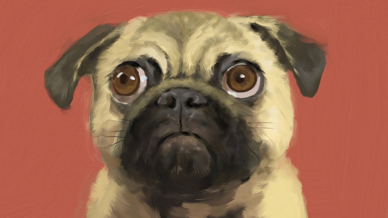 How to paint a pug - YouTube
