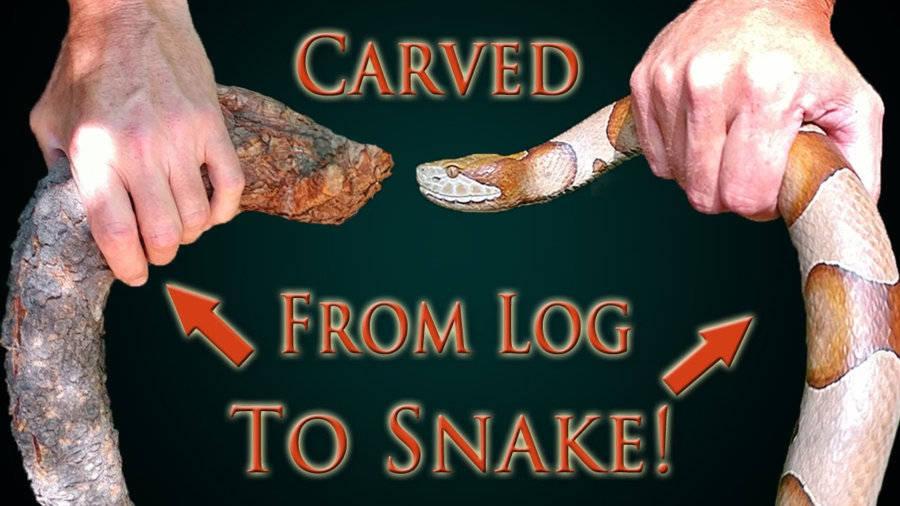 Finding Wood for Carving a Snake Walking Cane - YouTube