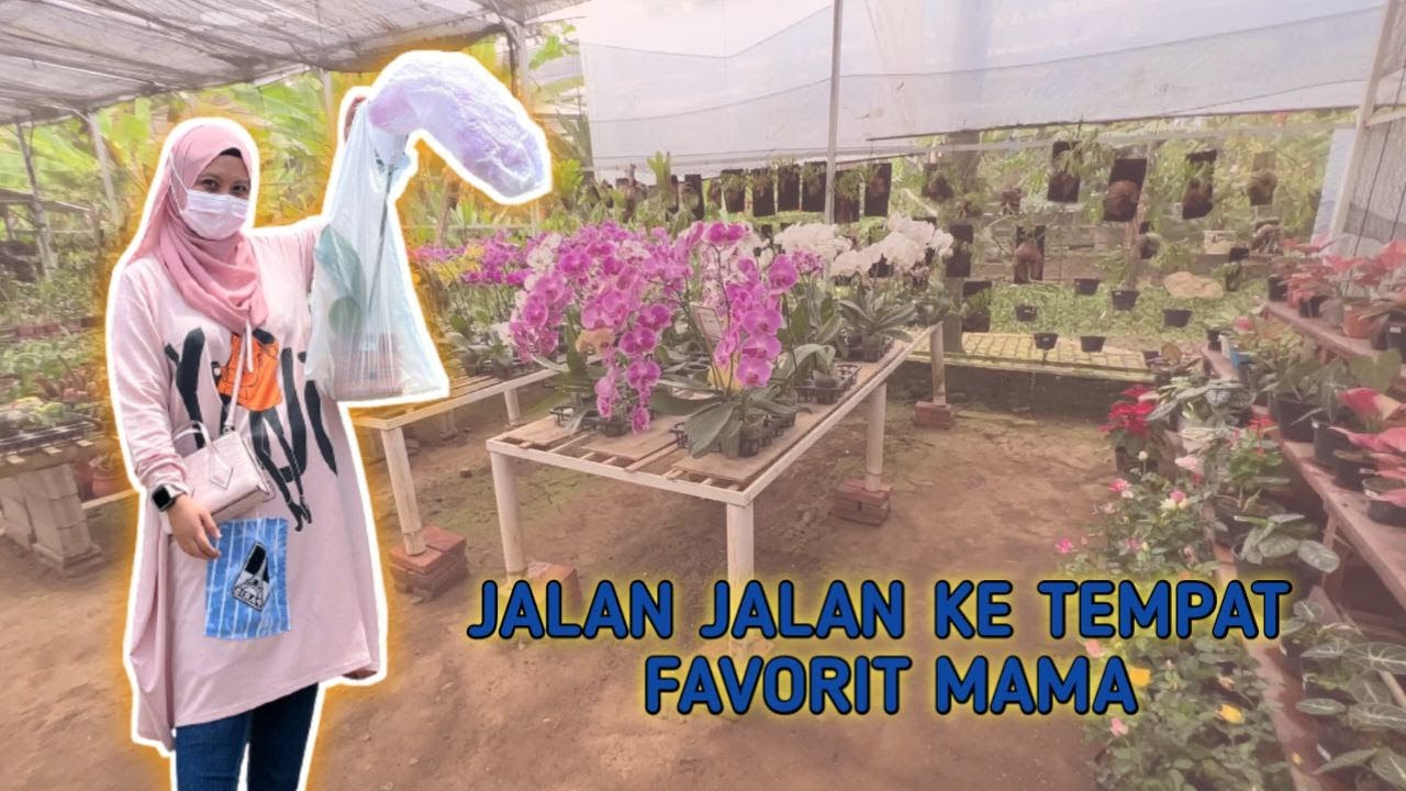 WISATA KE TAMAN BUNGA || Akhtar dan Papa nemenin mama beli bunga - YouTube
