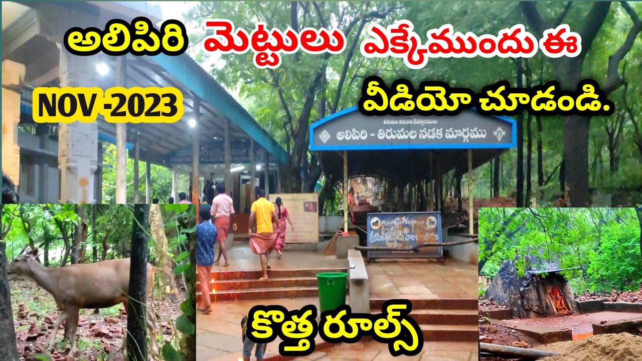 Tirupati to Tirumala by walk 2023 || Alipiri steps foot path way to ...