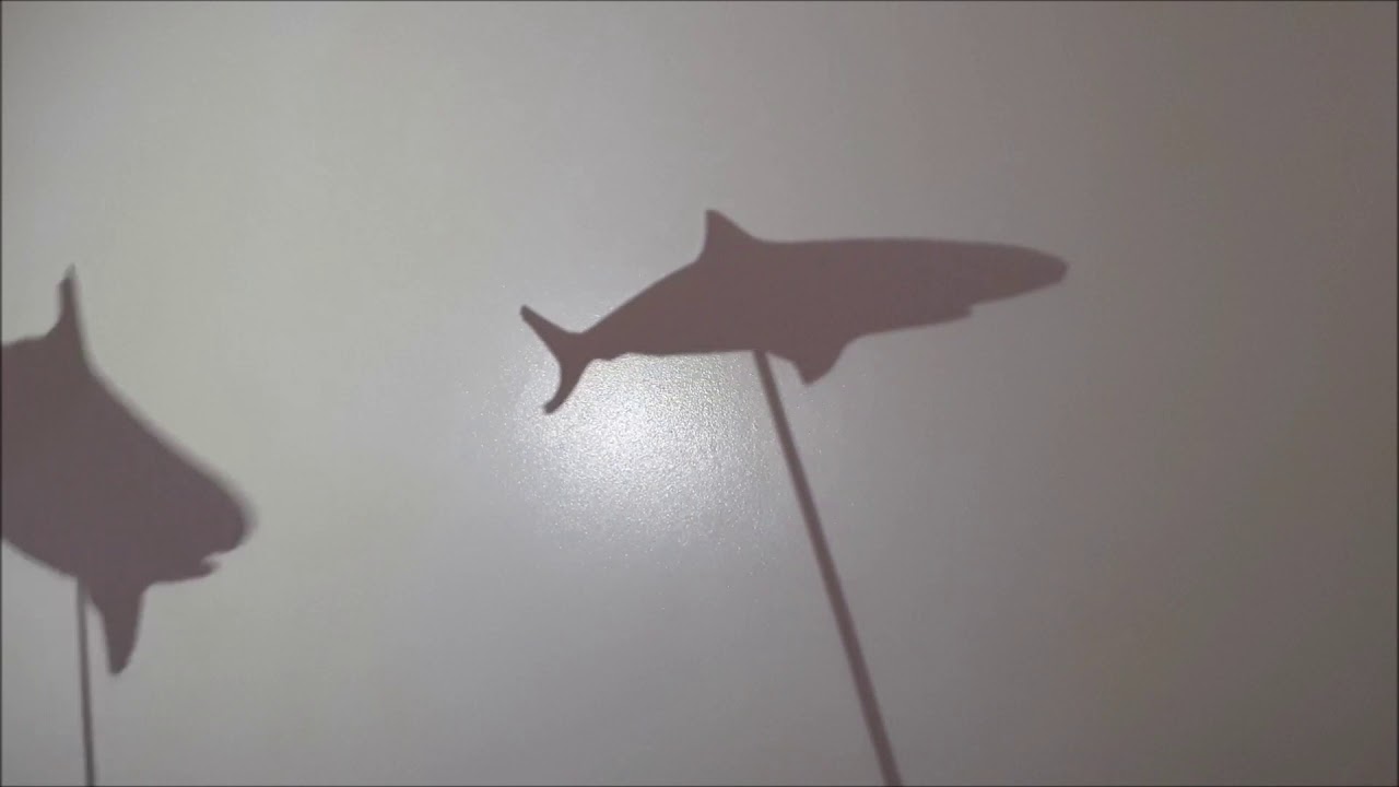Shark Shadow Puppet 1 - YouTube