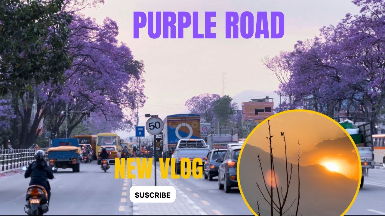 PURPLE ROAD 😍l Beauty of nature l Daily vlog in purple road 🤩 - YouTube