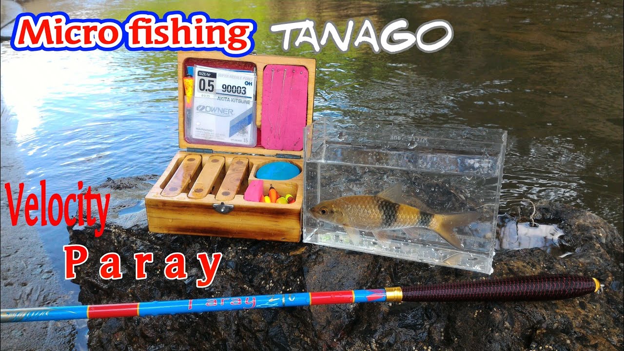 Micro Fishing Tanago, Review singkat dan tes langsung tegek Velocity ...