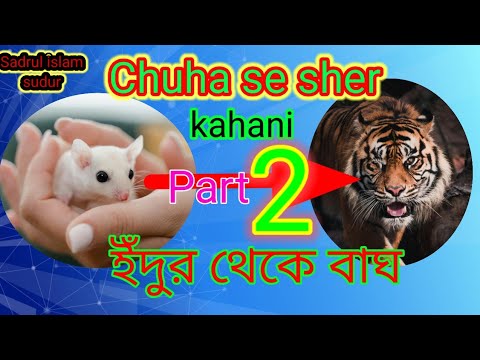 Pir saheb or chuha part 2 - YouTube