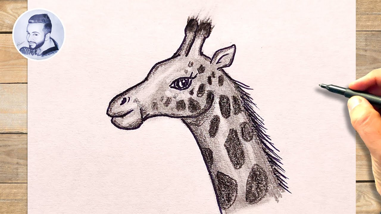 Comment dessiner un animal réaliste crayon dessin facile à faire - YouTube