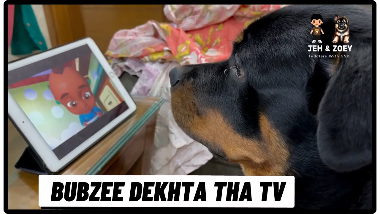BUBZEE tv dekhta tha. Yeh Kaha Legaye Hum Apko- Old Delhi. - YouTube
