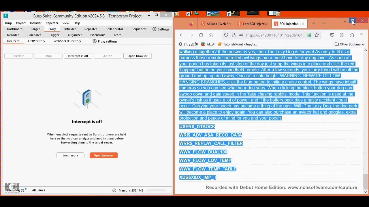 LAB SQL injection attack, listing the database contents on Oracle عربي - YouTube