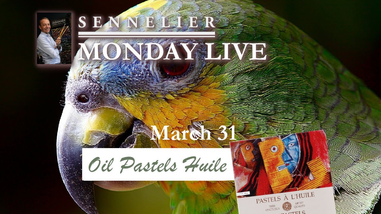 [Monday Live] A Parrot in Oil Pastel | Un perroquet au Pastel à l'huile ...