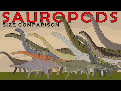 Dinosaurs Size Comparison: Sauropods vol.1 (Brachiosaurus, Diplodocus, Argentinosaurus)