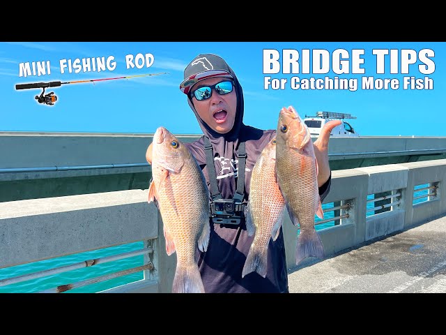 Home - CEO Fishing