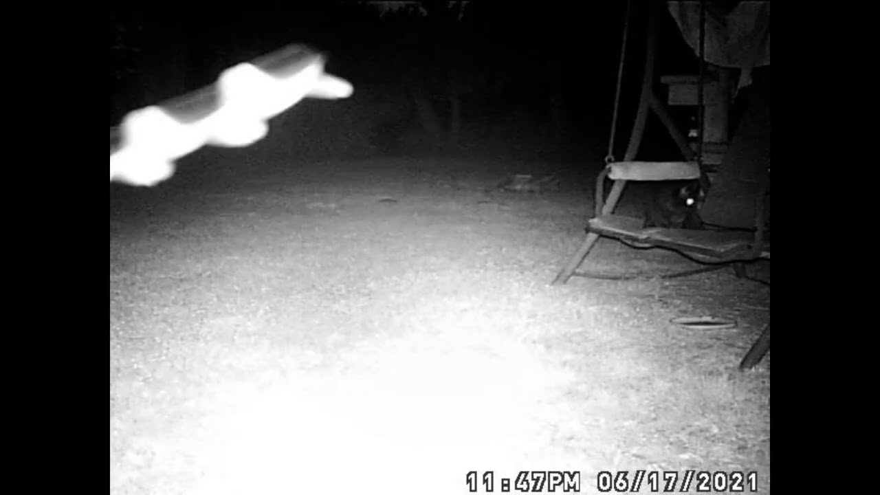 #Orbs And Flying Rods And A Lot Of Oddities - YouTube