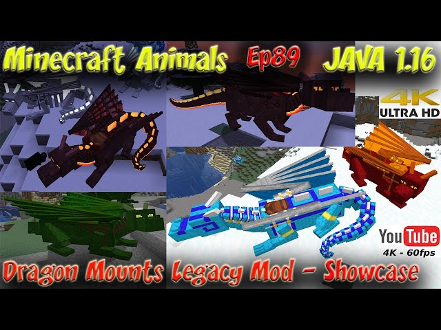 Minecraft Dragon Mounts Nether Dragon