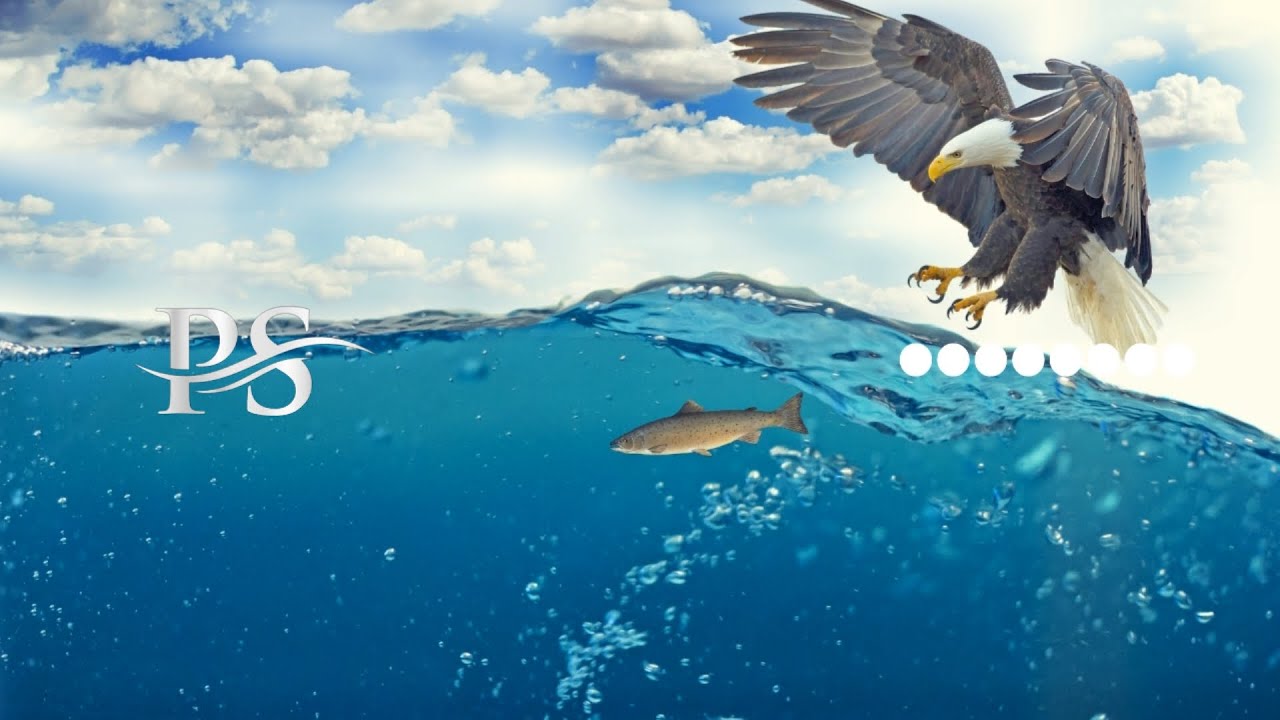 Wings (PS Peaceful Sounds Premium Free Copyright Music) #Wings - YouTube