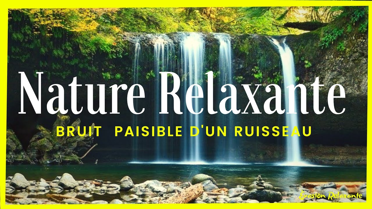 Musique Nature Relaxante: Bruit Paisible D'écoulement d'un Ruisseau ...