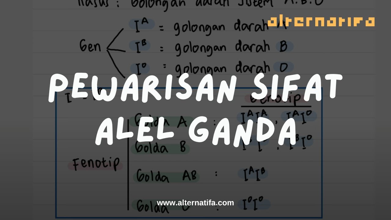 Pewarisan Sifat: Alel Ganda | Biologi | Alternatifa - YouTube