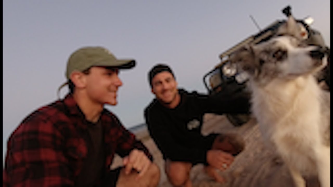 I MET BRODIE MOSS (YBS) - DIVING WITH BIG COD + SMALL SHARK - YouTube