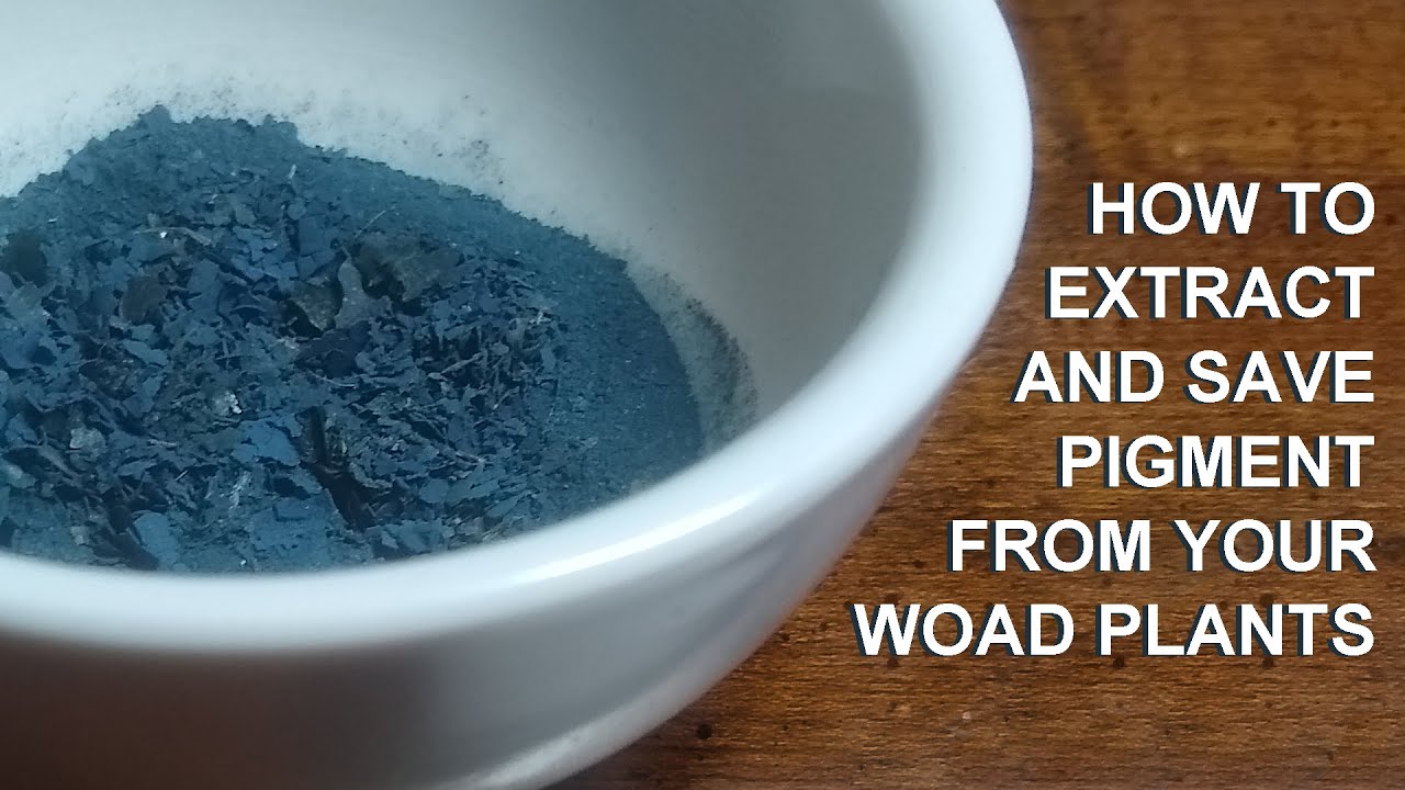 Extracting Pigment from Your Woad Plants - and Saving it for Later Use ...