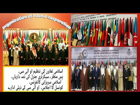 what is oic objective role of Pakistan in oic organization of Islamic ...