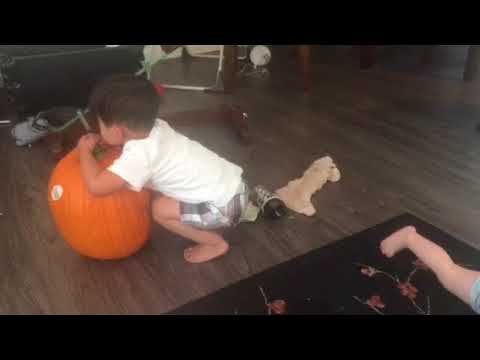 Pumpkin fight - YouTube