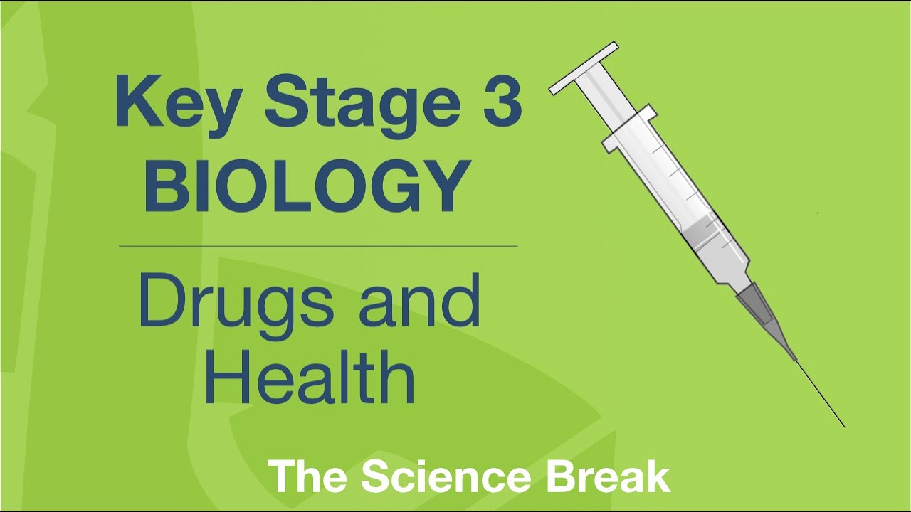 Key Stage 3 Science (Biology) - Drugs and Health - YouTube