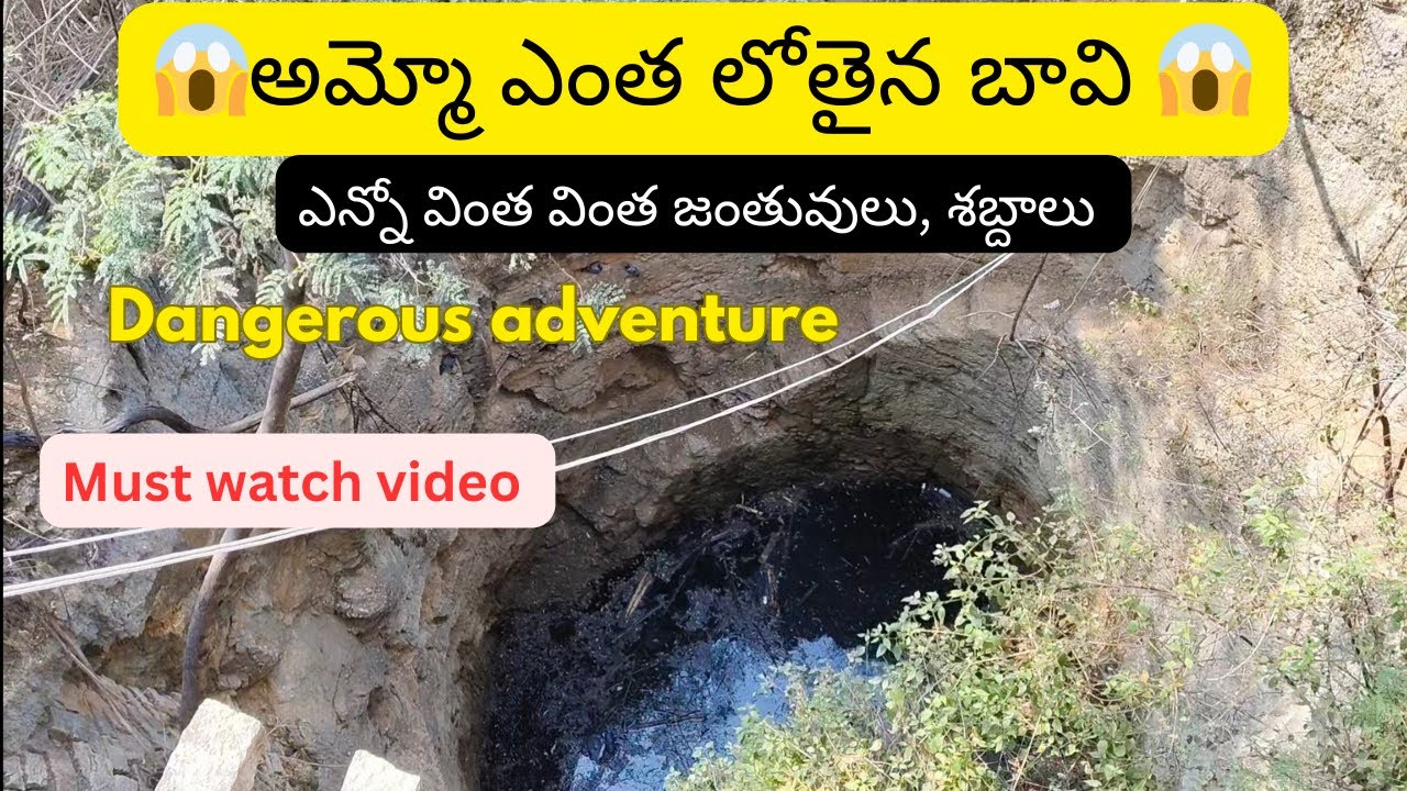 Most Dangerous Adventure #adventure #dangerious #dangerousanimals #well ...