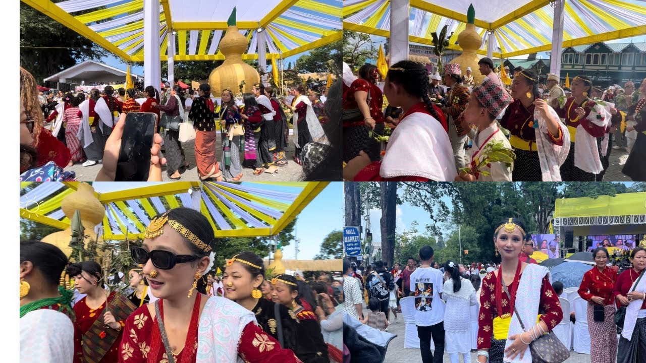 UBAULI PARBA SAKELA 2024 ️//FIRST TIME SAKELA KASTO VAYO TAH? - YouTube