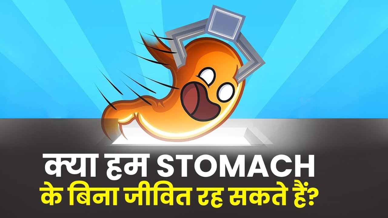 Stomach Can We Live Without The stomach-can-we-live-without-the