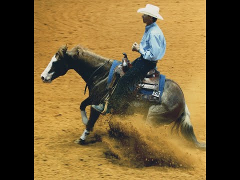 Craig Johnson and Smoking Chic Olena, Bridleless Reining