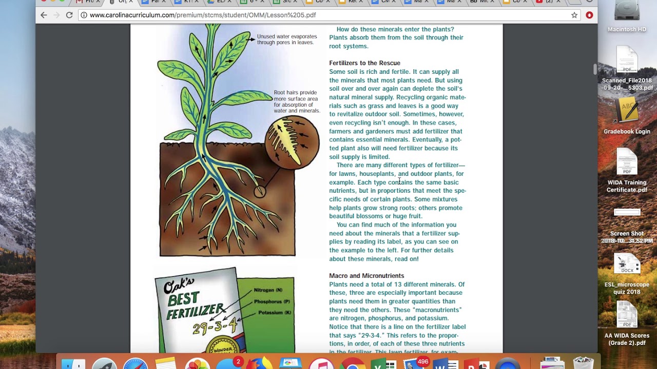 Lesson 5 Wisconsin Fast Plants - YouTube