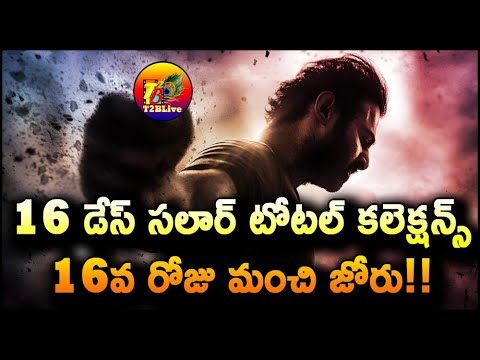 Salaar 16 Days Collection Worldwide | Salaar 16 Days Box Office Total ...