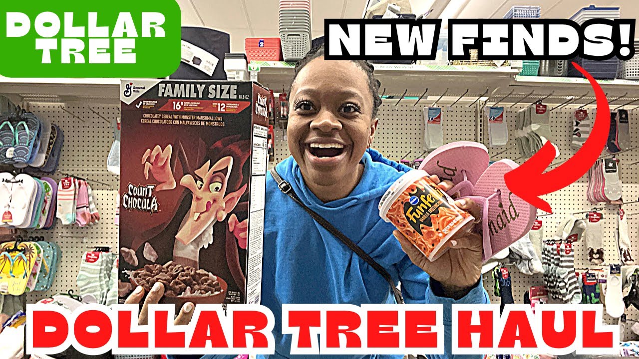 Dollar Tree Haul | New Finds at Dollar Tree - YouTube