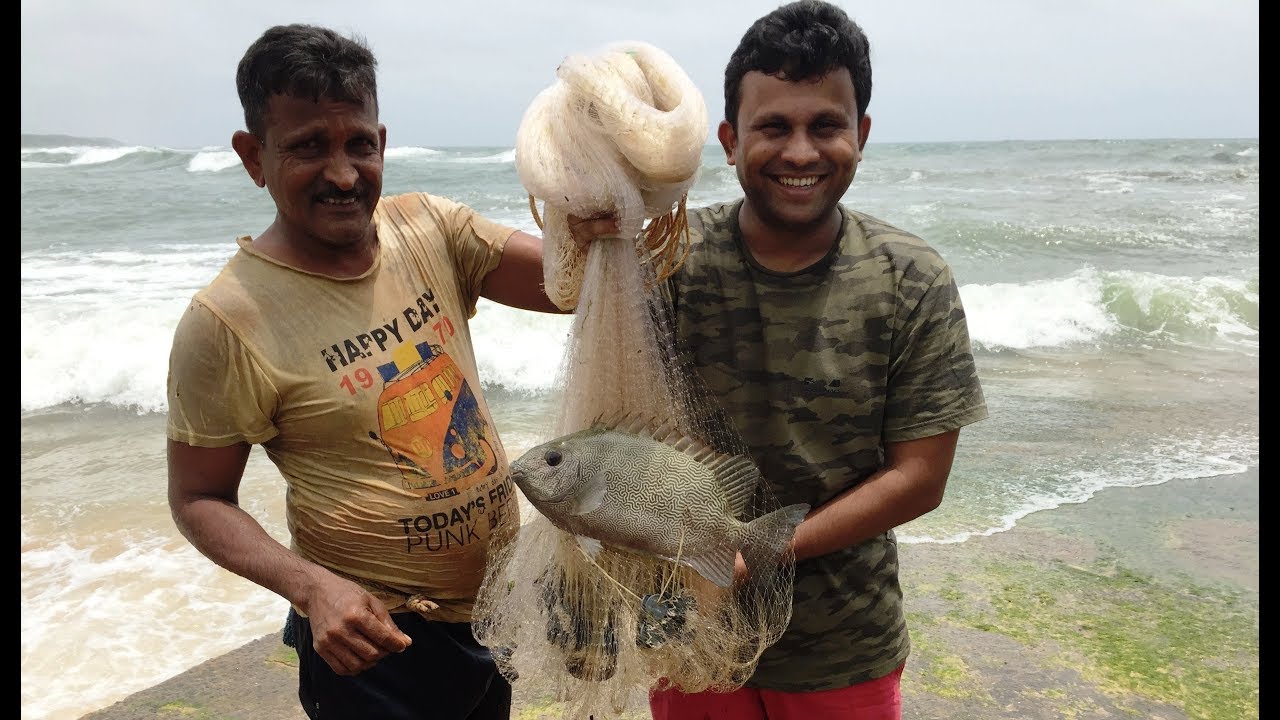 Dangerous FISHING at Mithbav Beach\Monsoon Days (Bandvashi Fish) Konkan ...