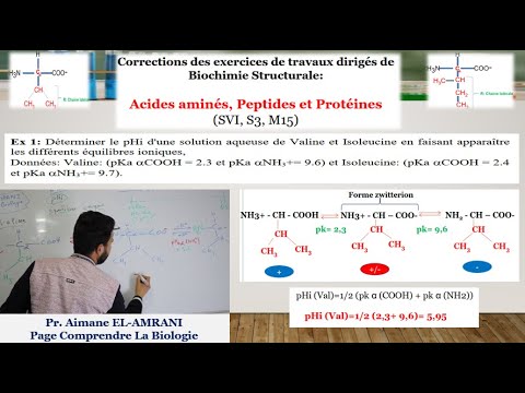 Exercice 1 : Ionisation et calcul de pHi des acides aminés à chaine ...