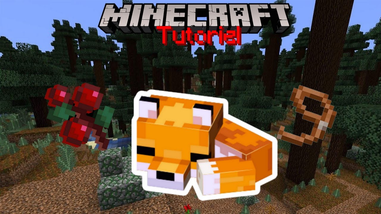 Apprivoiser un Renard - Tuto Minecraft - YouTube