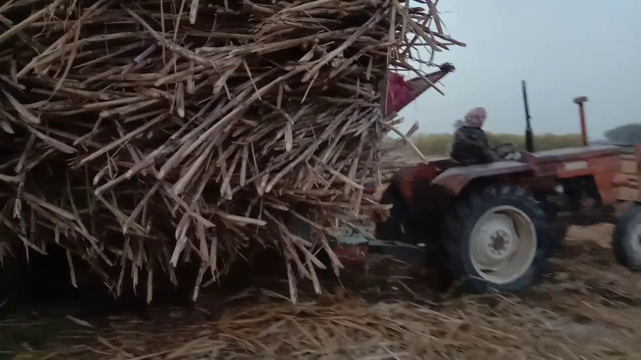 Powerful Tractor 385 Fully loaded Cane Brilliant Driver - YouTube