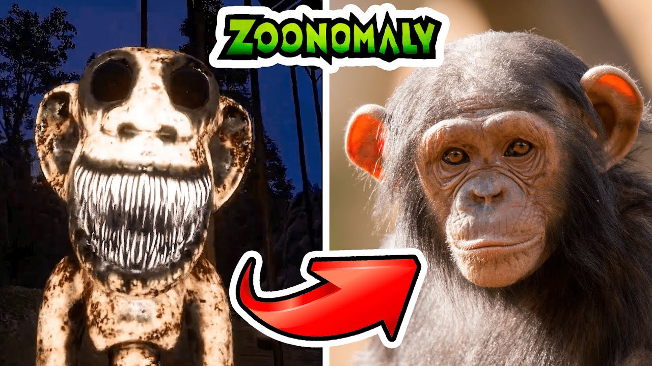 ZOONOMALY in REAL LIFE – All Characters! - YouTube