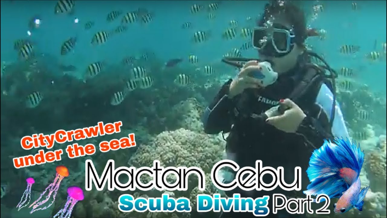 【4K】Scuba Diving in Mactan Cebu, Philippines for only $40 or 2000 pesos ...