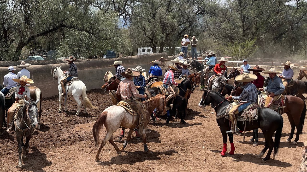 Coleadero San Mateo Valparaíso Lienzo Charro Aventureros 13/04/24 - YouTube