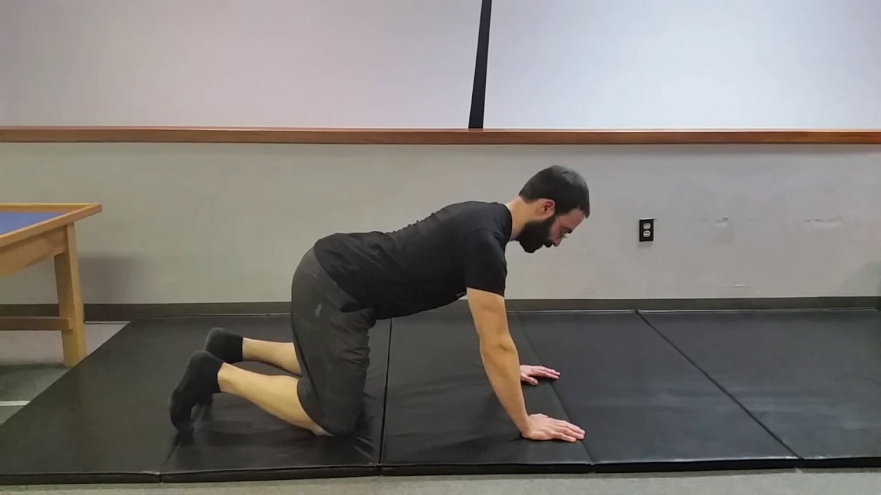 Bird Dog Progression - Bear Position Bird Dog - YouTube