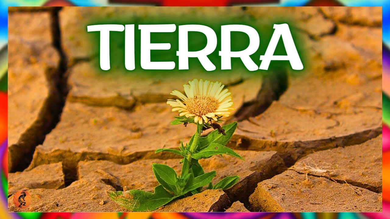 ELEMENTO TIERRA Viaje Chamánico Meditación Sonidos de Naturaleza ...