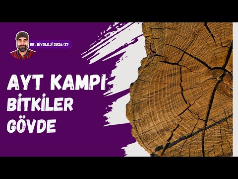 Bitkisel Organlar - Gövde | Dr. Biyoloji | AYT Dönem 2026 - 2027