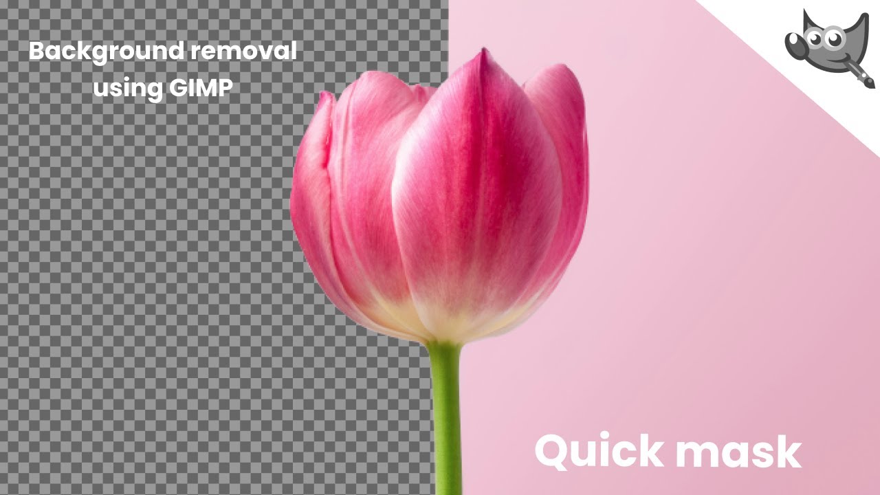 Remove Background Picture in GIMP with Quick mask - 3 | #gimp # ...