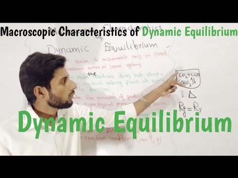 Characteristics of Dynamic Equilibrium | Dynamic Equilibrium | # ...