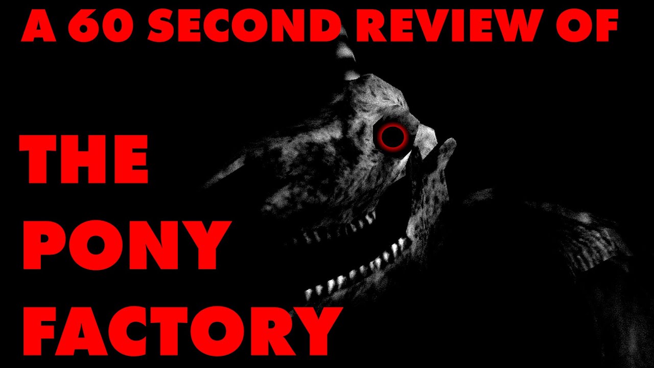 THE PONY FACTORY | A 60 Second Review - YouTube