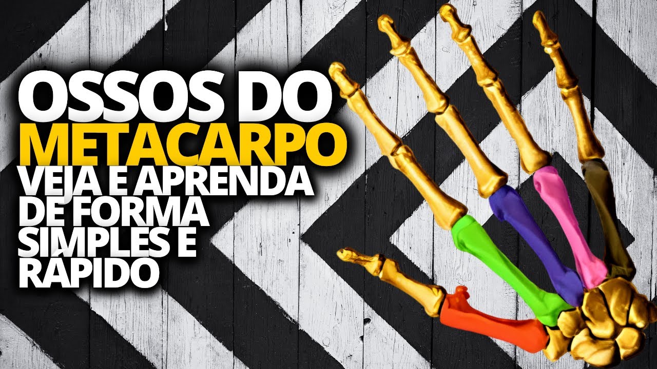 OSSOS DA MÃO DO METACARPO - YouTube