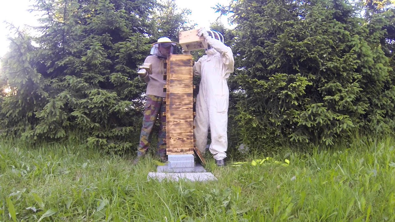 Japonský úl, Japanese bee hive, 1 díl - YouTube