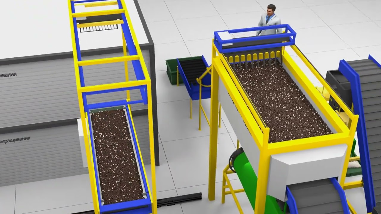 Production of BSF-based protein - YouTube