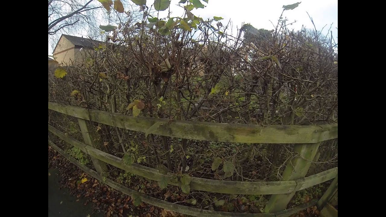 Christmas Orienteering at North Town 2014: Class RR - YouTube